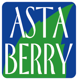 Buy Best Natural Skin Care Products Online in India – Astaberry
