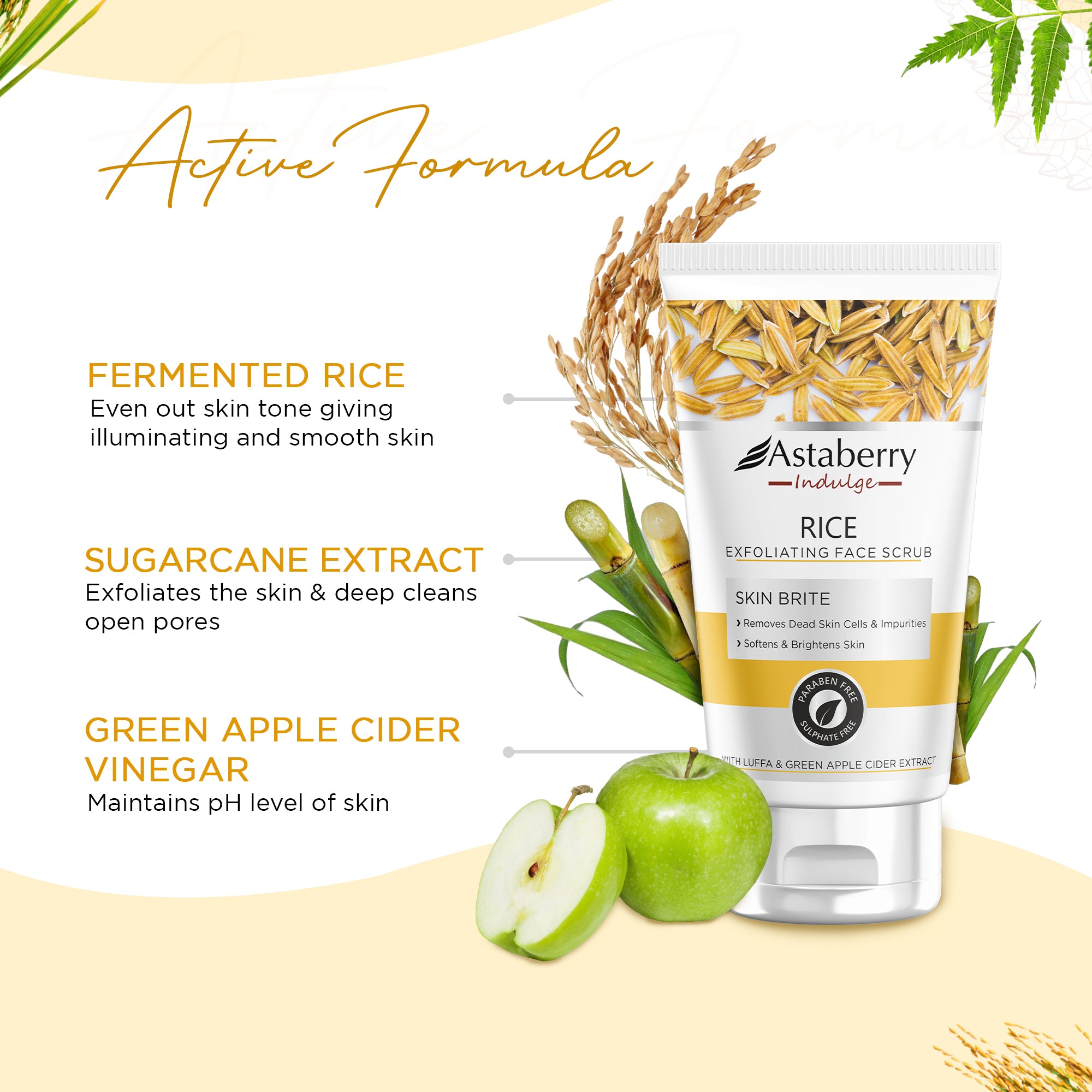 Rice Exfoliating Face Scrub with Rice and Sugar Cane Extract – Astaberry